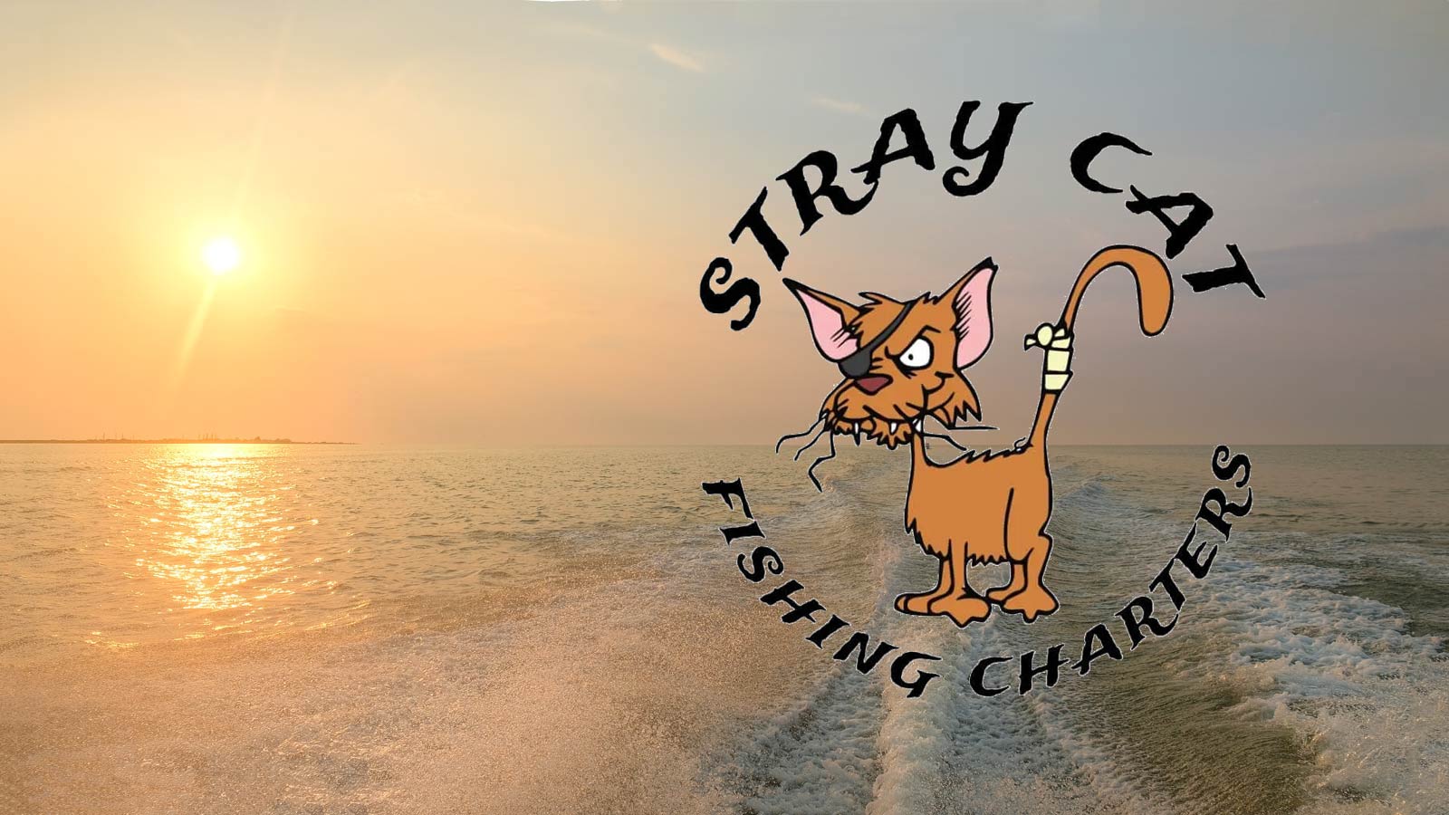 Galveston guide charter fishing: half day, full day, or night